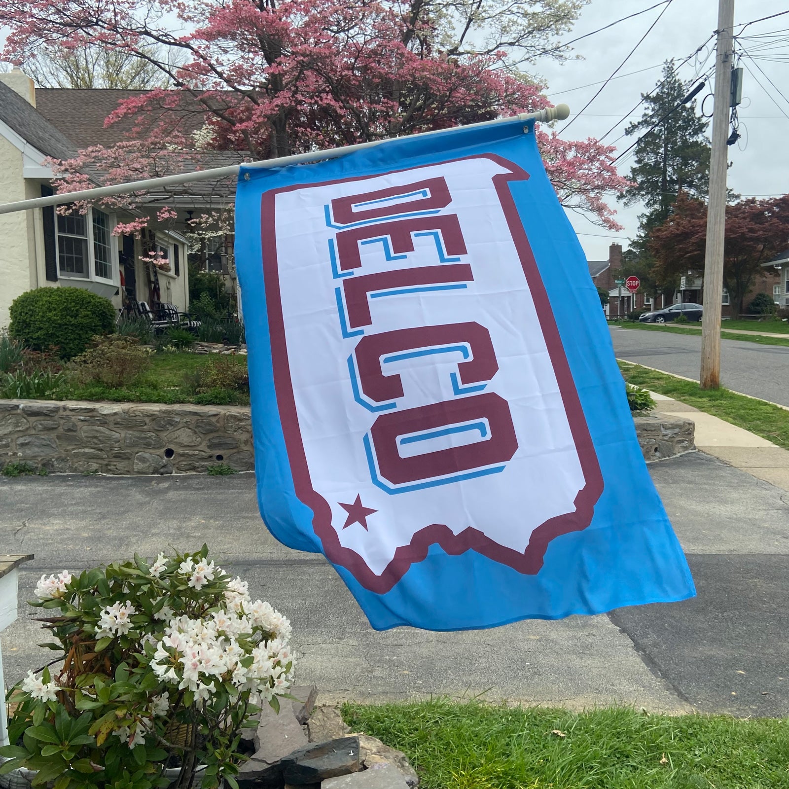 Big Flags – Blue Rooted